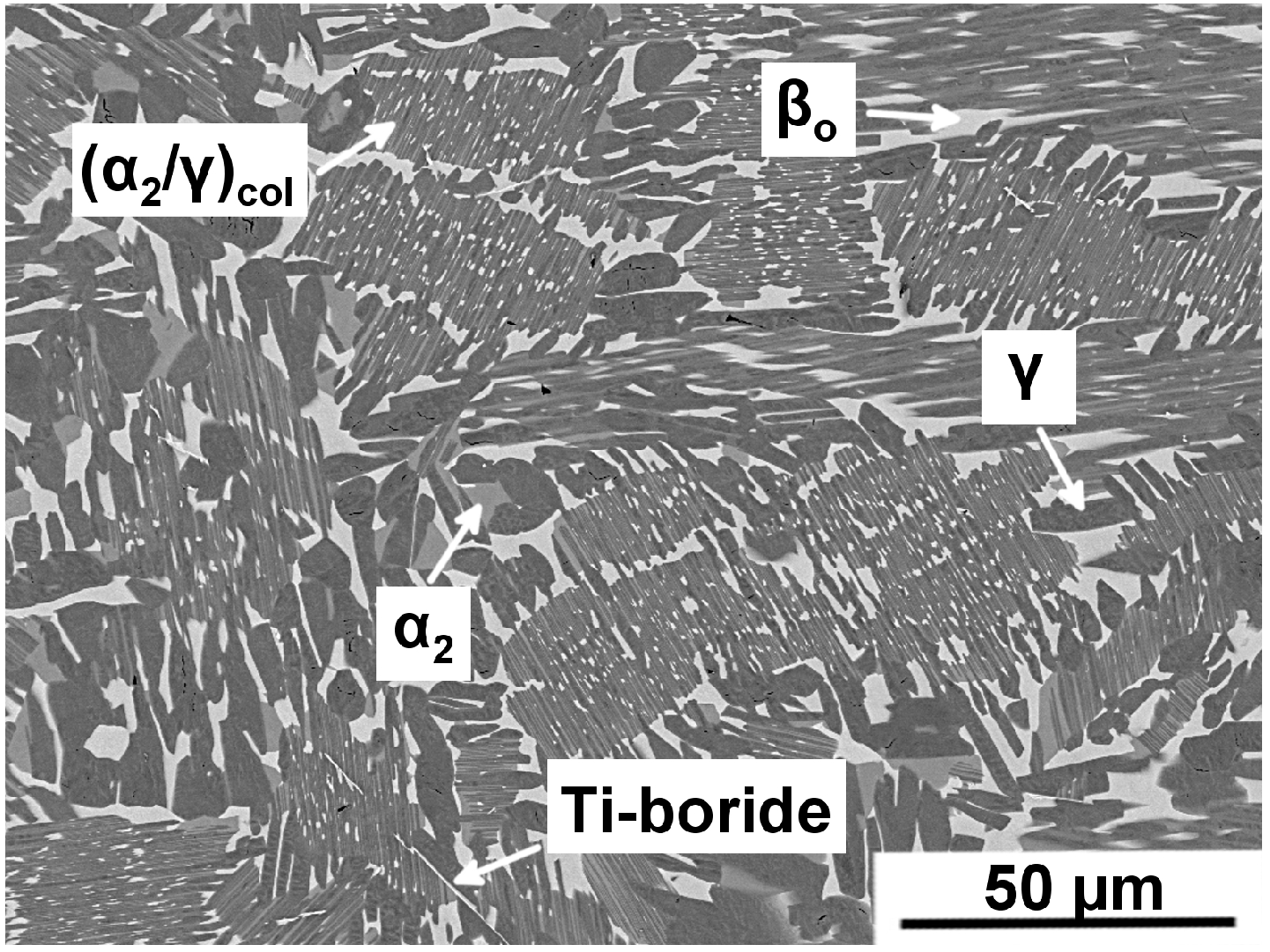 Advancement of Compositional and Microstructural Design of ...