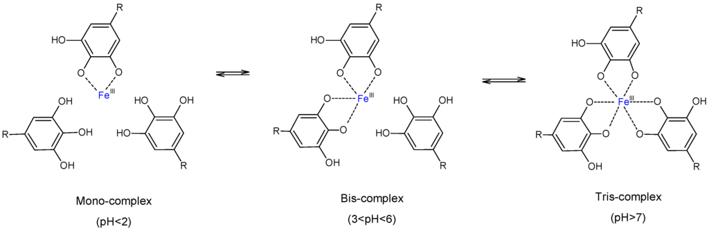 Electrospun Polymer Nanofibers Reinforced by Tannic Acid/Fe+++ Complexes