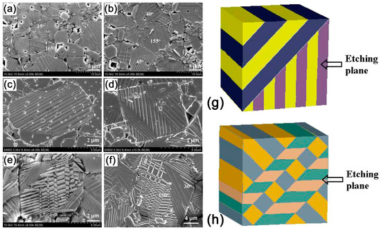 Ferroelectric Domain Structure and Local Piezoelectric Properties of ...