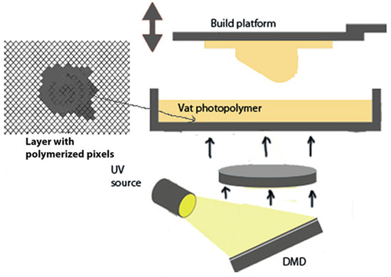 Anisotropy of Photopolymer Parts Made by Digital Light Processing