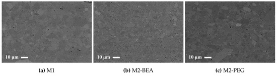 Influence of Resin Composition on the Defect Formation in Alumina ...