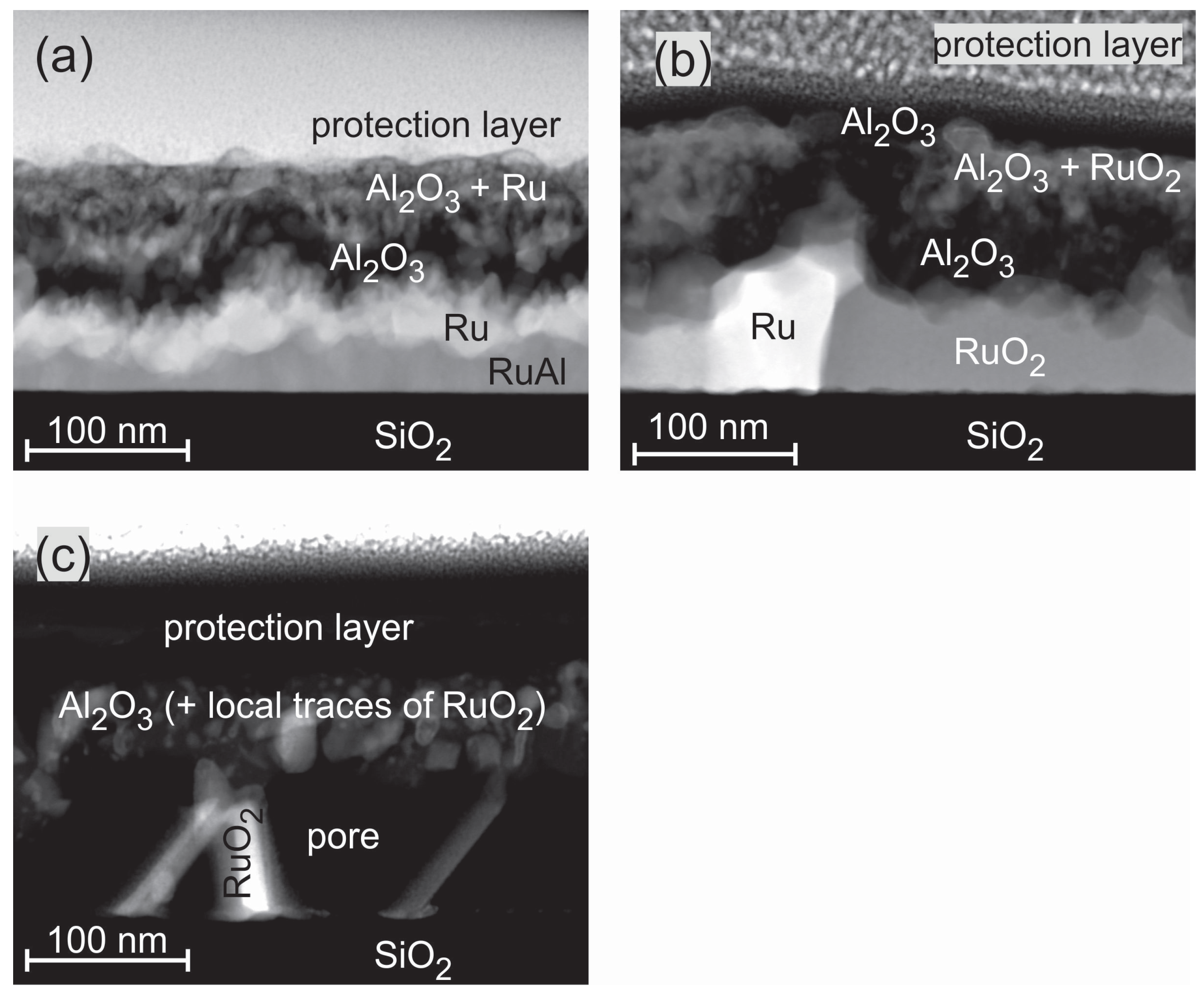 Materials | Free Full-Text | The Influence of the Composition of Ru100− ...