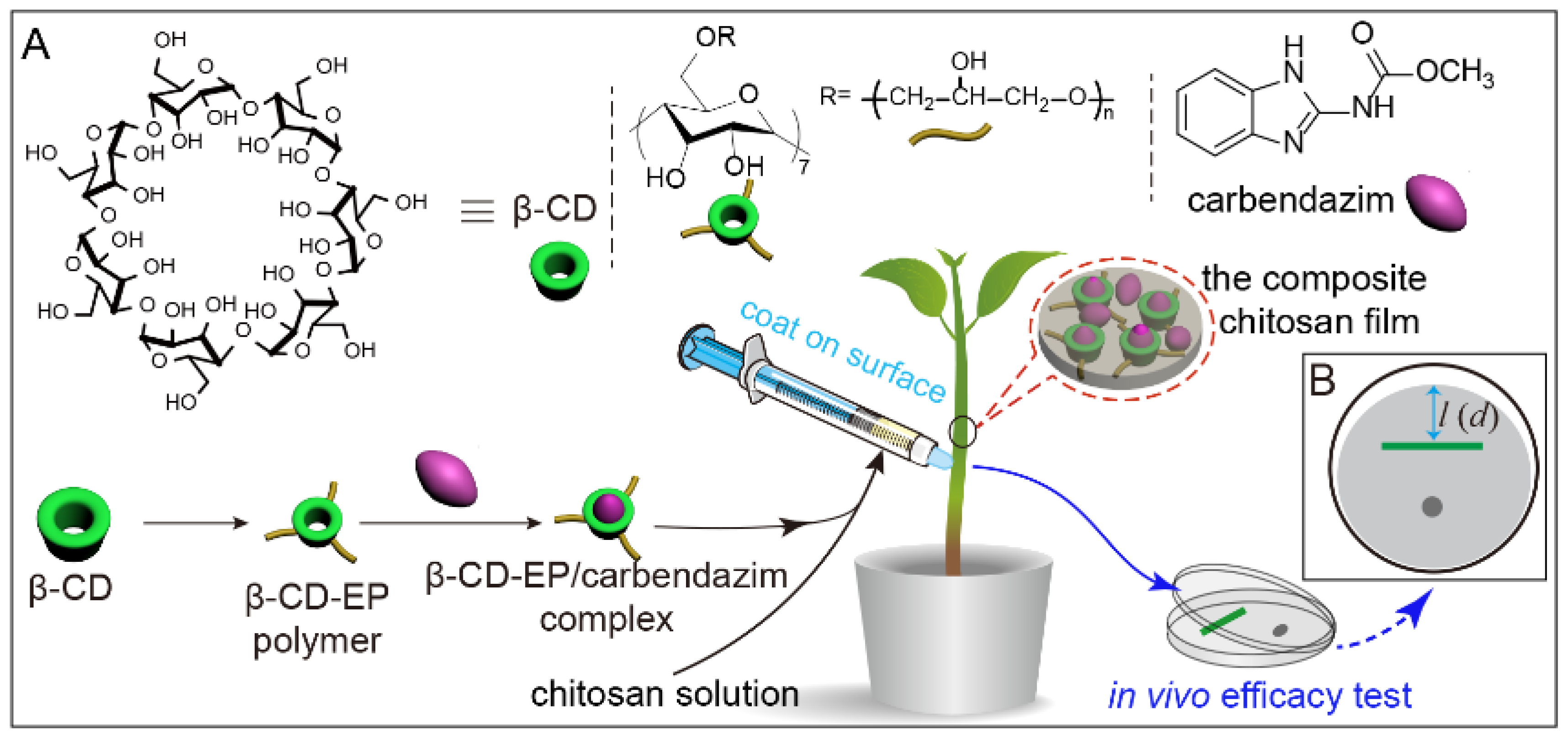 Chitosan and β-Cyclodextrin-epichlorohydrin Polymer Composite Film as a Plant Healthcare ...