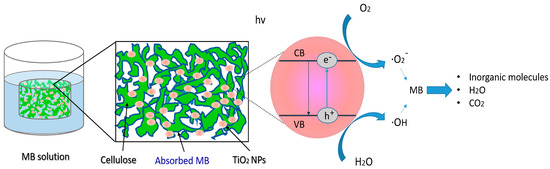 One-Pot Route towards Active TiO2 Doped Hierarchically Porous Cellulose ...