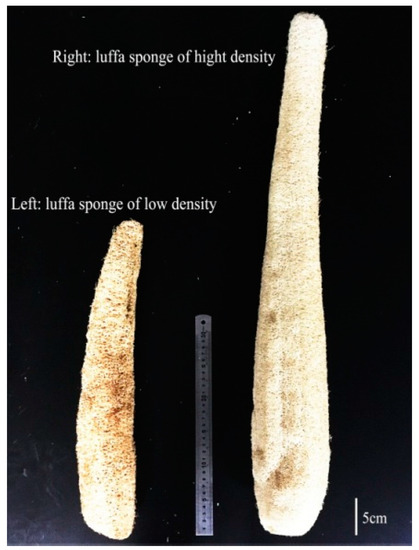 In-Depth Analysis of the Structure and Properties of Two Varieties of ...