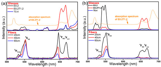 Spectral Properties of Er3+/Tm3+ Co-Doped ZBLAN Glasses and Fibers