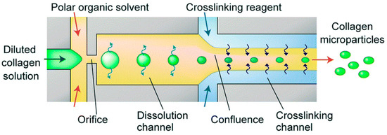 Protein-Based Drug-Delivery Materials