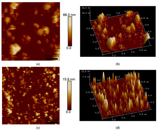 Markedly Enhanced Surface Hydroxyl Groups of TiO2 Nanoparticles with ...