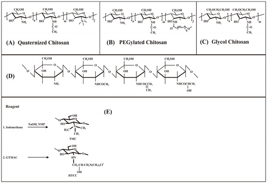 Chitosan Biomaterials for Current and Potential Dental Applications