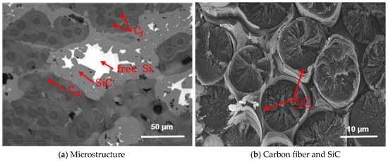 Microstructural Analysis and Wear Performance of Carbon-Fiber ...