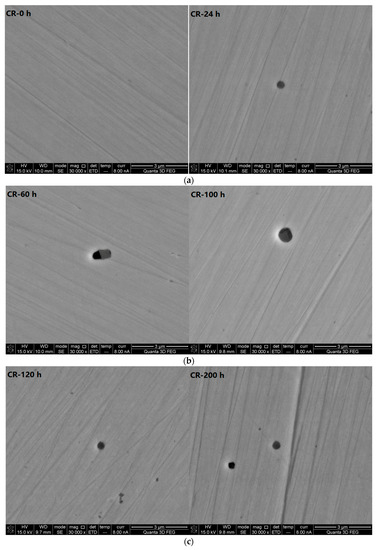 Materials | Free Full-Text | Pitting Corrosion Behaviour of New Corrosion-Resistant ...