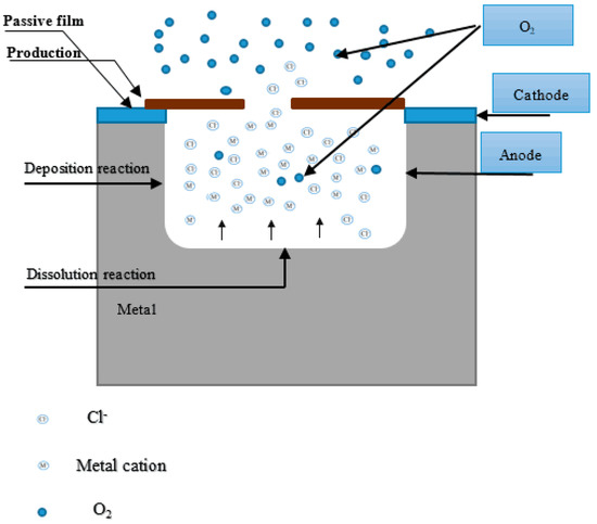 Pitting Corrosion Behaviour of New Corrosion-Resistant Reinforcement ...