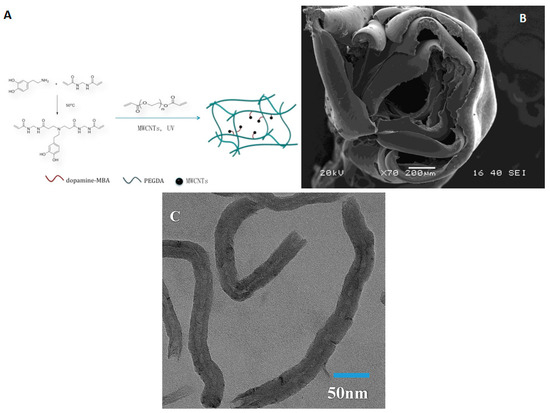 Mussel-Inspired Dopamine and Carbon Nanotube Leading to a Biocompatible ...