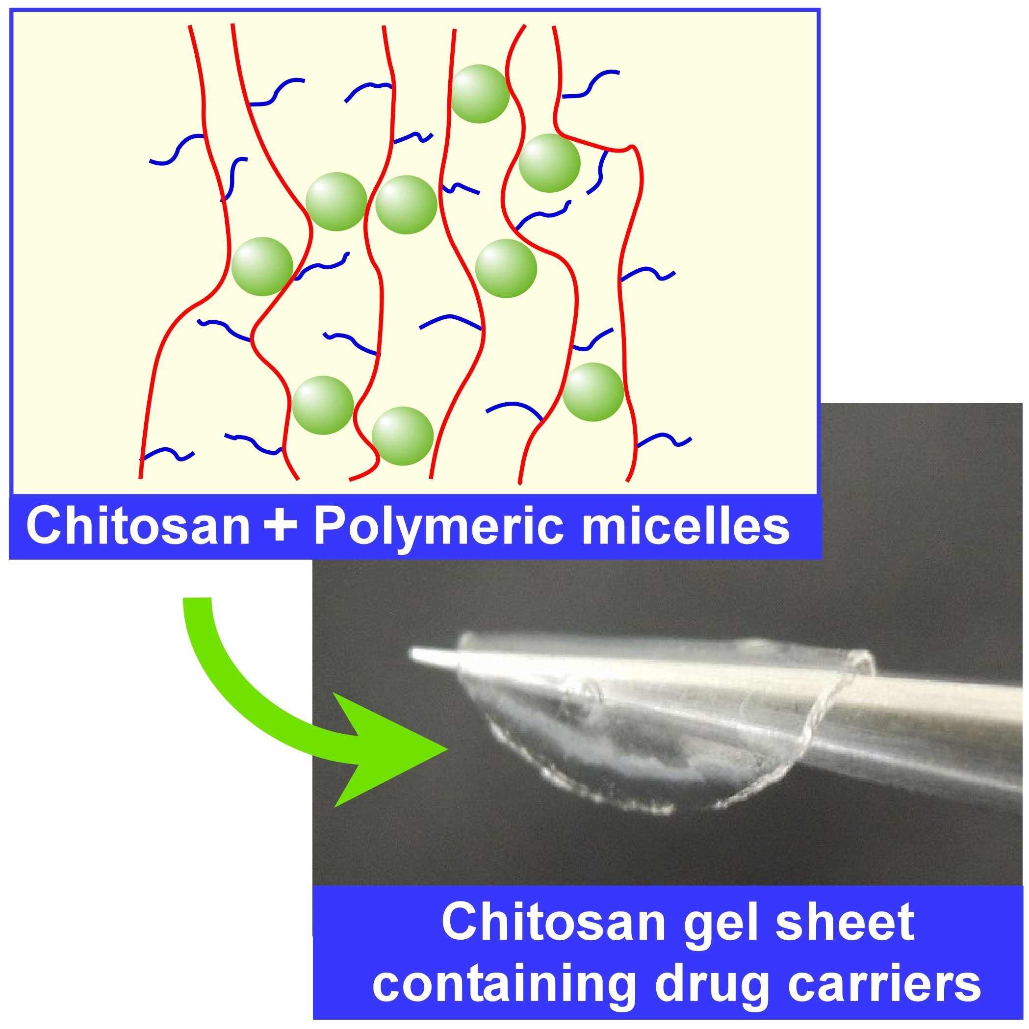 Materials | Free Full-Text | Chitosan Gel Sheet Containing Polymeric ...
