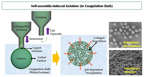 Materials | Free Full-Text | Novel Self-Assembly-Induced Gelation for ...