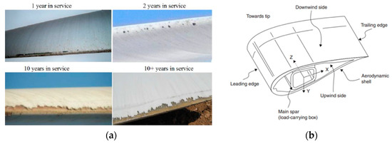On the Material Characterisation of Wind Turbine Blade Coatings: The ...