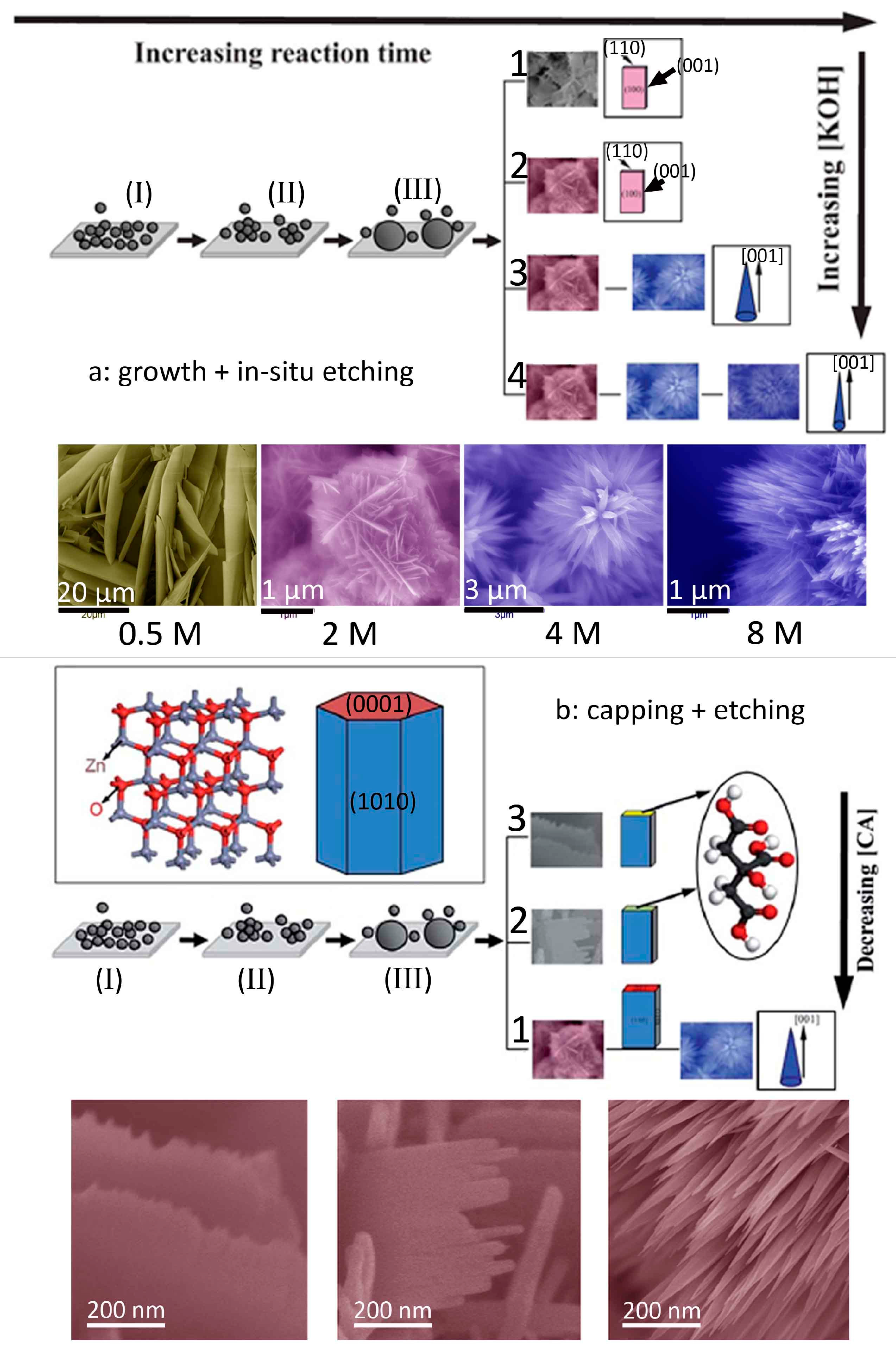 Three-Dimensional ZnO Hierarchical Nanostructures: Solution Phase Synthesis and Applications