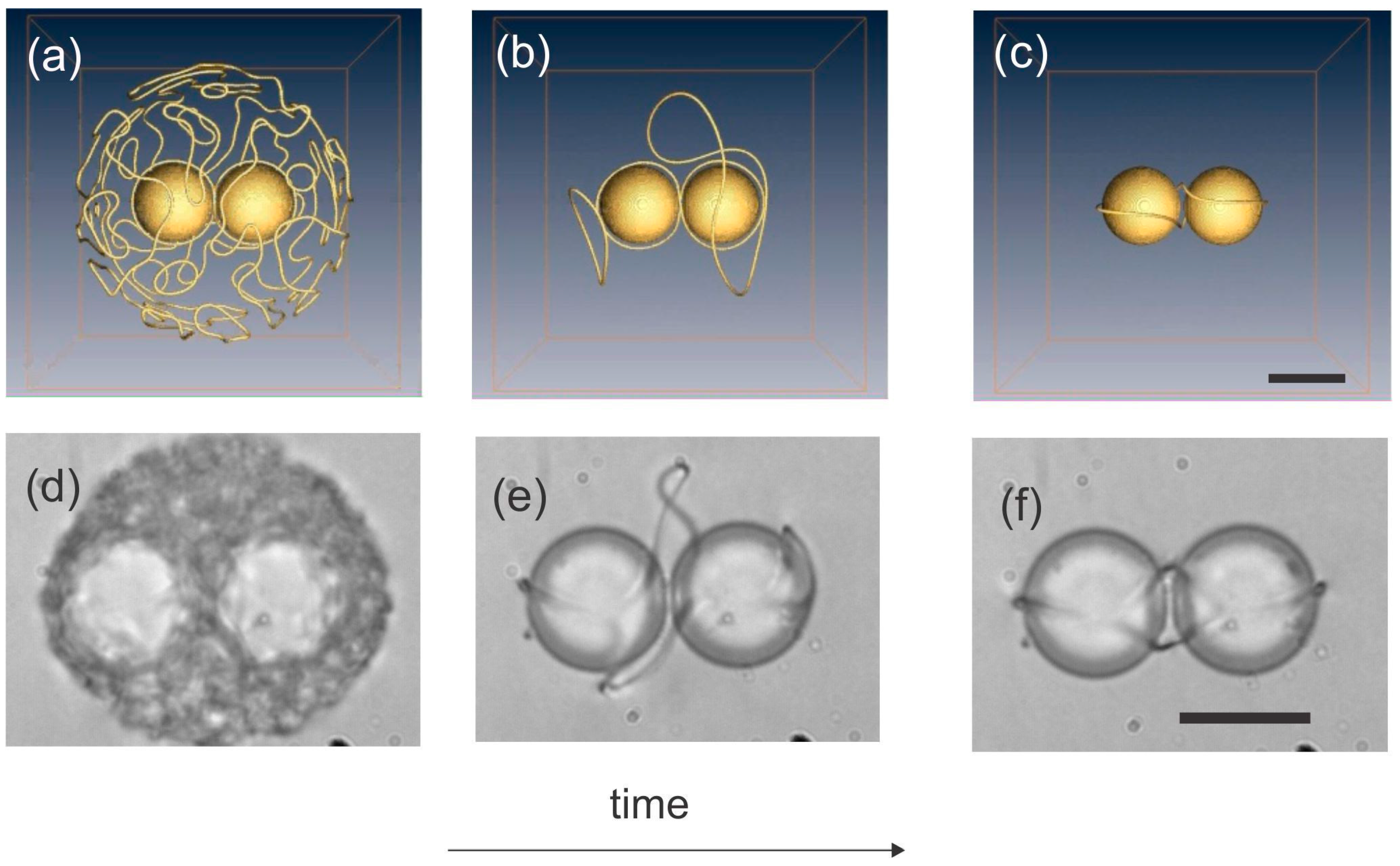 Nematic Liquid-Crystal Colloids