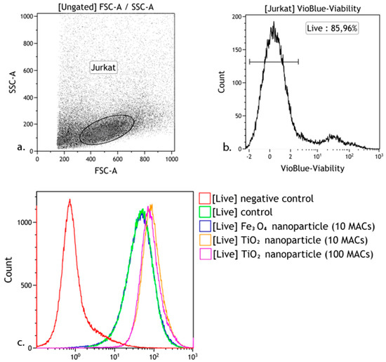 Rough Titanium Oxide Coating Prepared by Micro-Arc Oxidation Causes ...