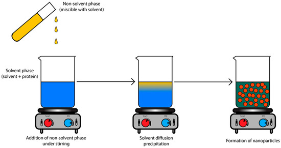 Protein-Based Nanoparticle Preparation via Nanoprecipitation Method