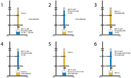 Protein-Based Nanoparticle Preparation via Nanoprecipitation Method
