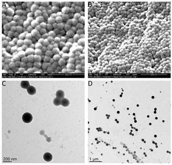 Protein-Based Nanoparticle Preparation via Nanoprecipitation Method