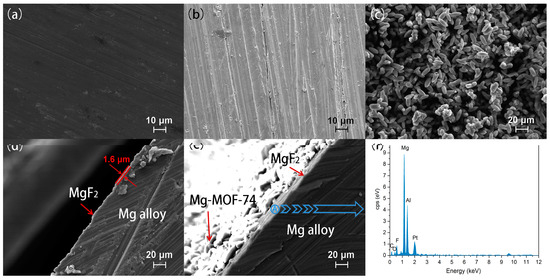 Mg-MOF-74/MgF2 Composite Coating for Improving the Properties of ...