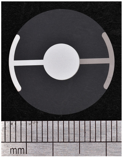 Overview of Piezoelectric Biosensors, Immunosensors and DNA Sensors and ...