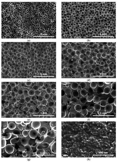 Structure and Electromagnetic Properties of Cellular Glassy Carbon ...