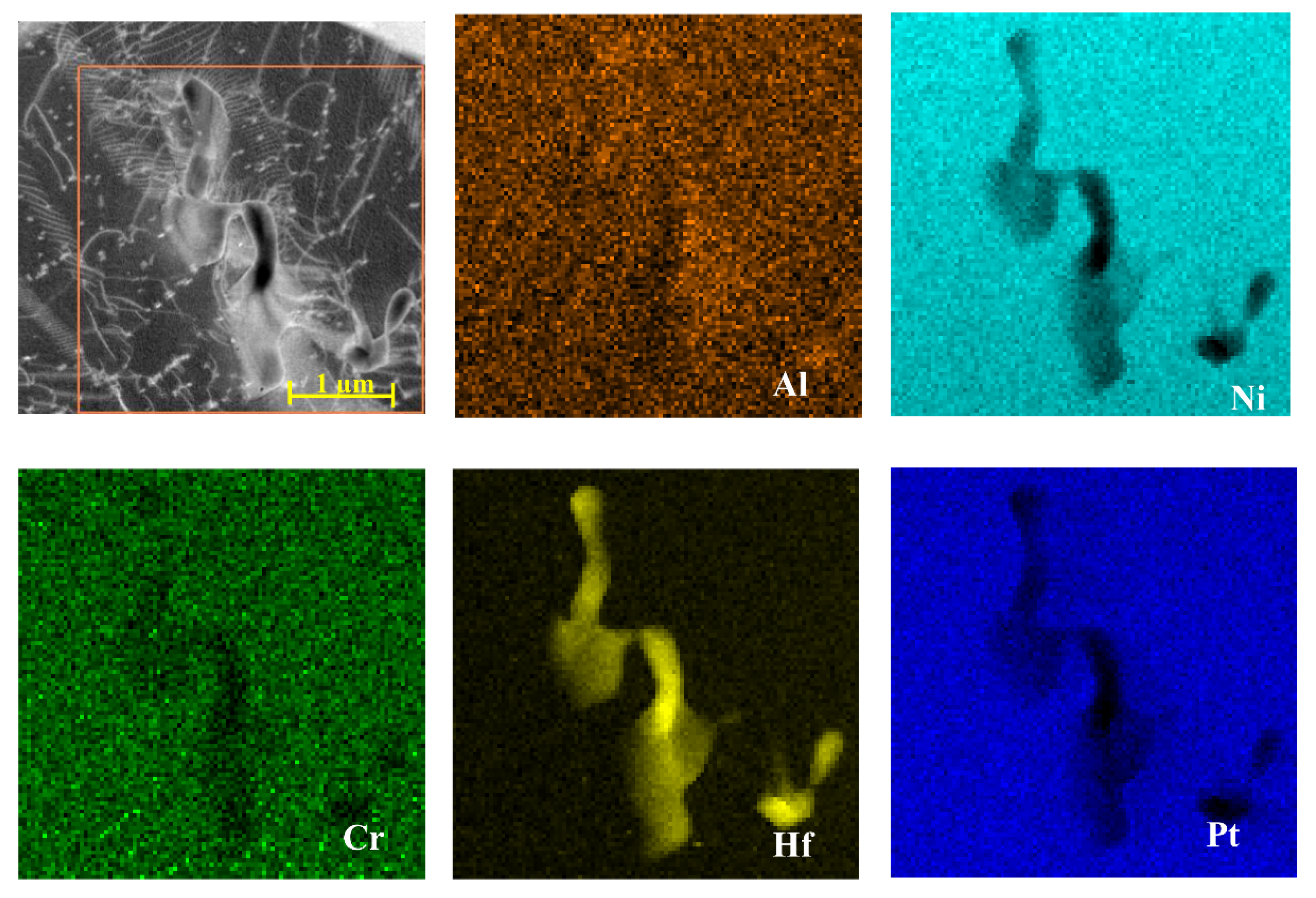 SEM/TEM Investigation of Aluminide Coating Co-Doped with Pt and Hf ...