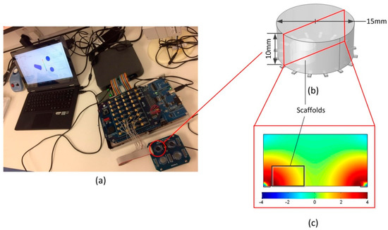 Materials | Free Full-Text | Exploring the Potential of Electrical ...