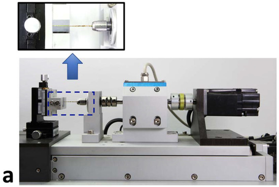 Torsional Behavior of WaveOne Gold Endodontic File with the Dedicated ...