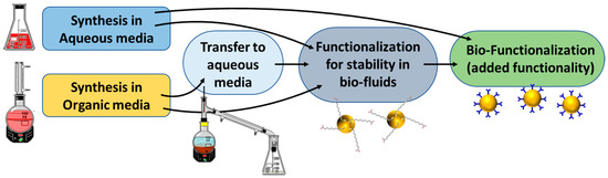 Surface Modifications of Nanoparticles for Stability in Biological Fluids