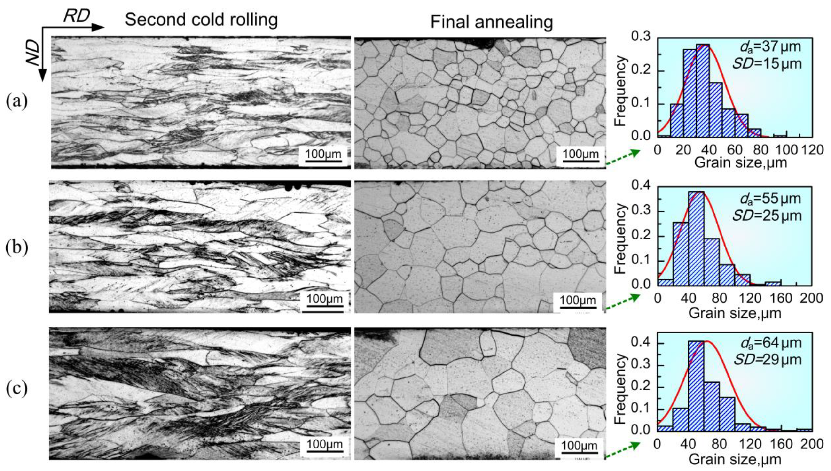 The Microstructure Of The Steels Processed By Differe
