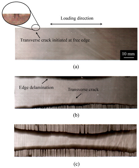 Fatigue Life Prediction for Transverse Crack Initiation of CFRP Cross ...