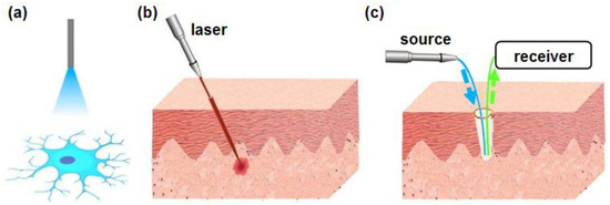 Biocompatible and Implantable Optical Fibers and Waveguides for Biomedicine