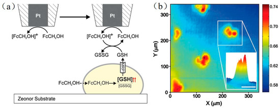 Materials | Free Full-Text | Recent Advances in Scanning ...
