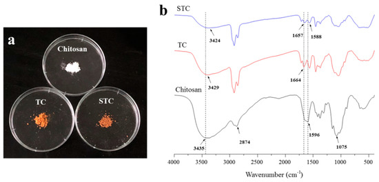 Enhanced Antibacterial Activity of Silver Doped Titanium Dioxide ...