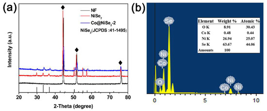 Hydrothermal Synthesis of Co-Doped NiSe2 Nanowire for High-Performance ...