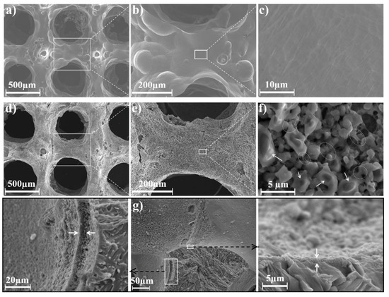 Materials | Special Issue : Bioceramics: Bioinert, Bioactive, and Coatings