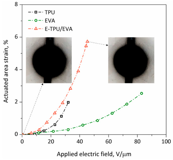 Fabrication of Dielectric Elastomer Composites by Locking a Pre ...