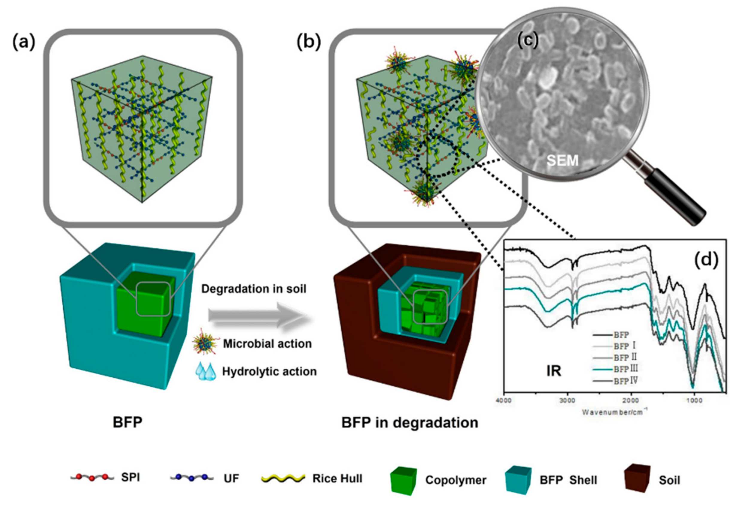 Green Preparation of Straw Fiber Reinforced Hydrolyzed Soy Protein ...