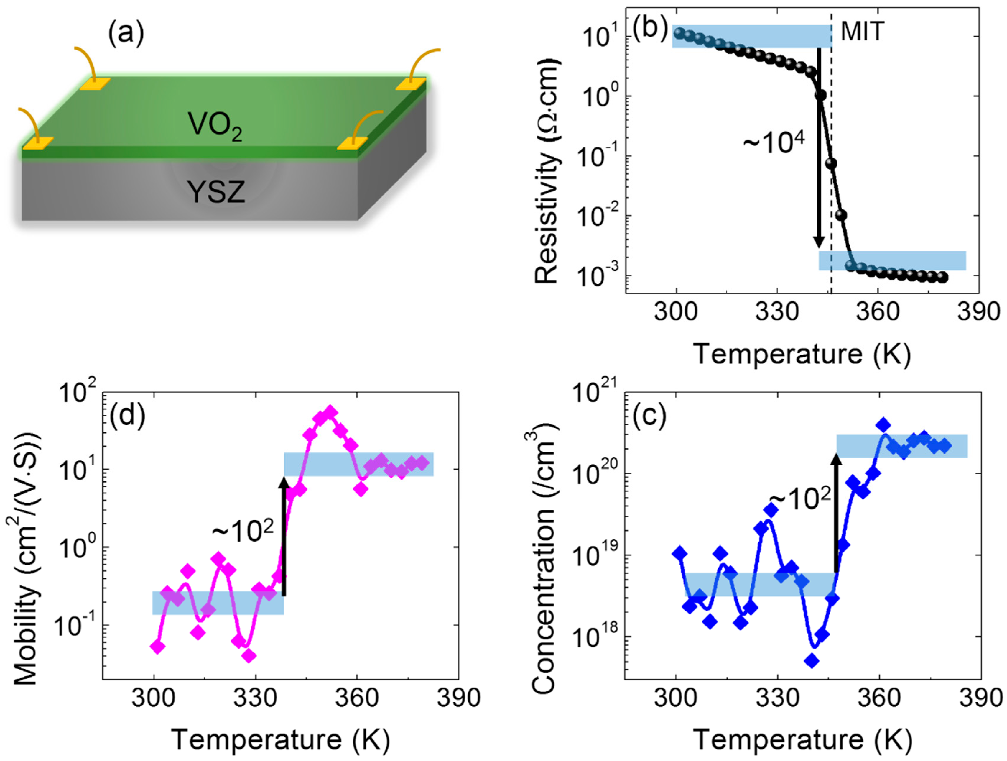 Investigating Metal–Insulator Transition and Structural Phase ...