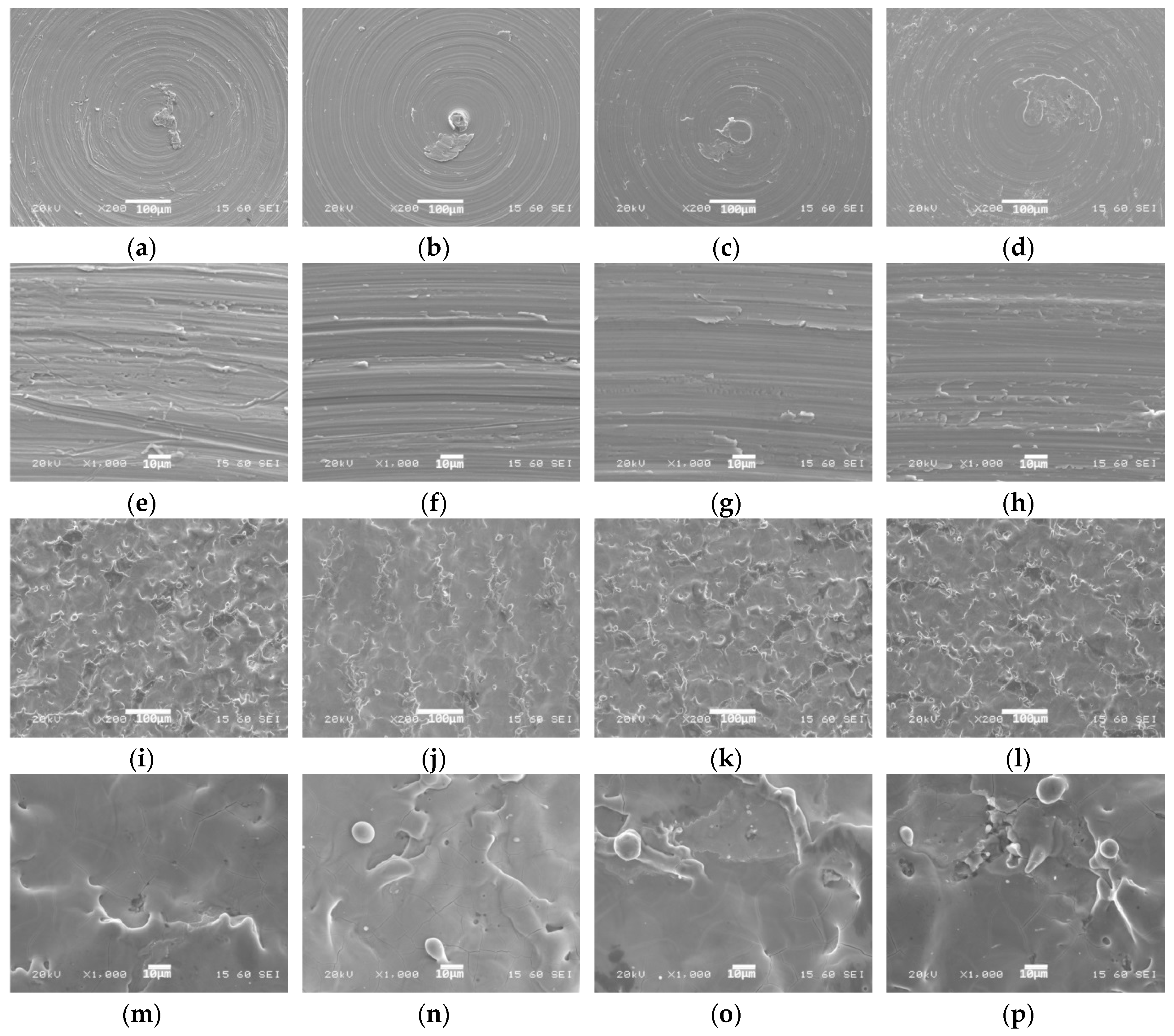 Materials | Free Full-Text | Proliferation of Osteoblasts on Laser-Modified Nanostructured ...