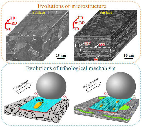 Materials | Free Full-Text | Tribological Behavior of the 316L Stainless Steel with ...
