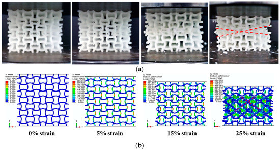 Mechanical Metamaterials Foams with Tunable Negative Poisson’s Ratio for Enhanced Energy ...