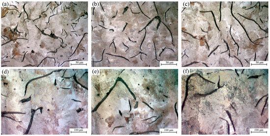 Effects of Inoculation on the Pearlitic Gray Cast Iron with High ...