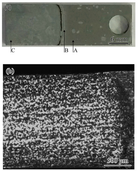 Corrosion Failure Mechanism of Associated Gas Transmission Pipeline