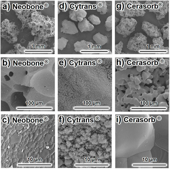 Physical and Histological Comparison of Hydroxyapatite, Carbonate ...
