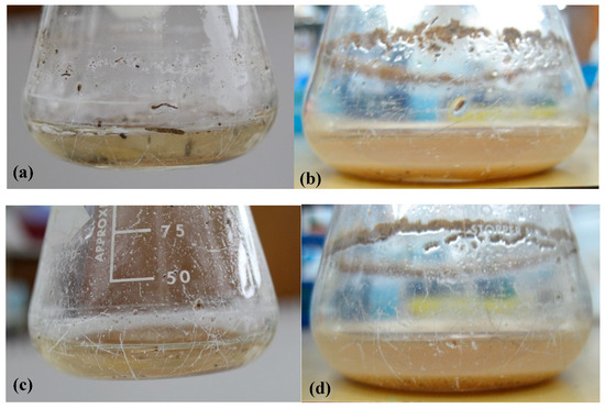 Microbial Degradation of Epoxy
